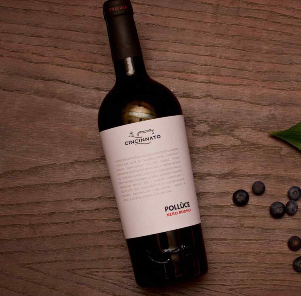 Pollùce Nero Buono by Cincinnato - at Cuculo Cheese & Wine